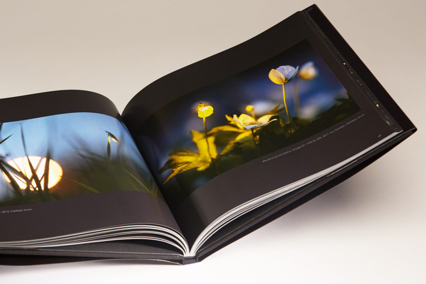Radim Schreiber: Firefly Experience — ArtBook Printing